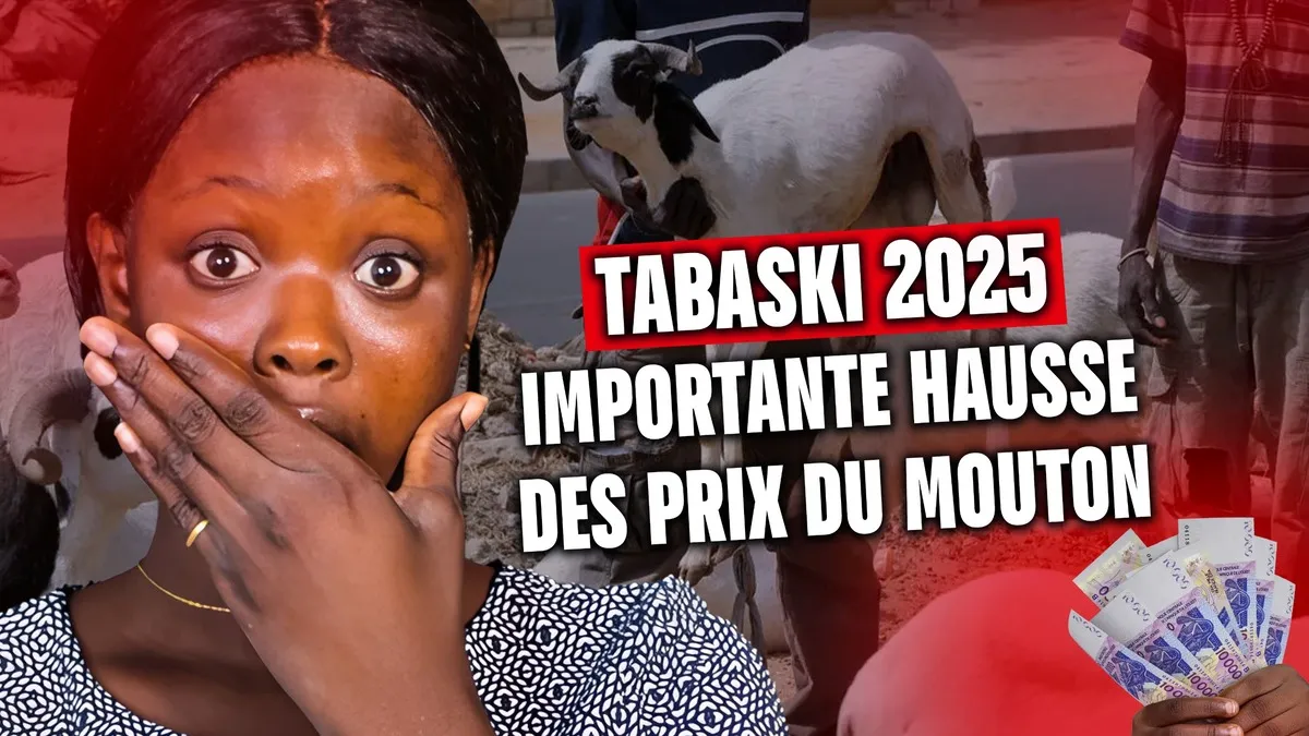 Tabaski 2025 : les moutons hors de prix avant la fête - Revue du 03 ...